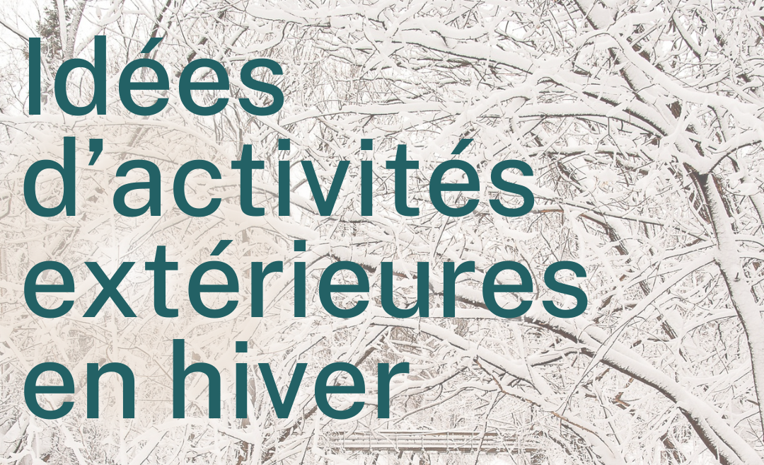 Idées d’activités à faire dans le temps des Fêtes - La Maison Léon ...